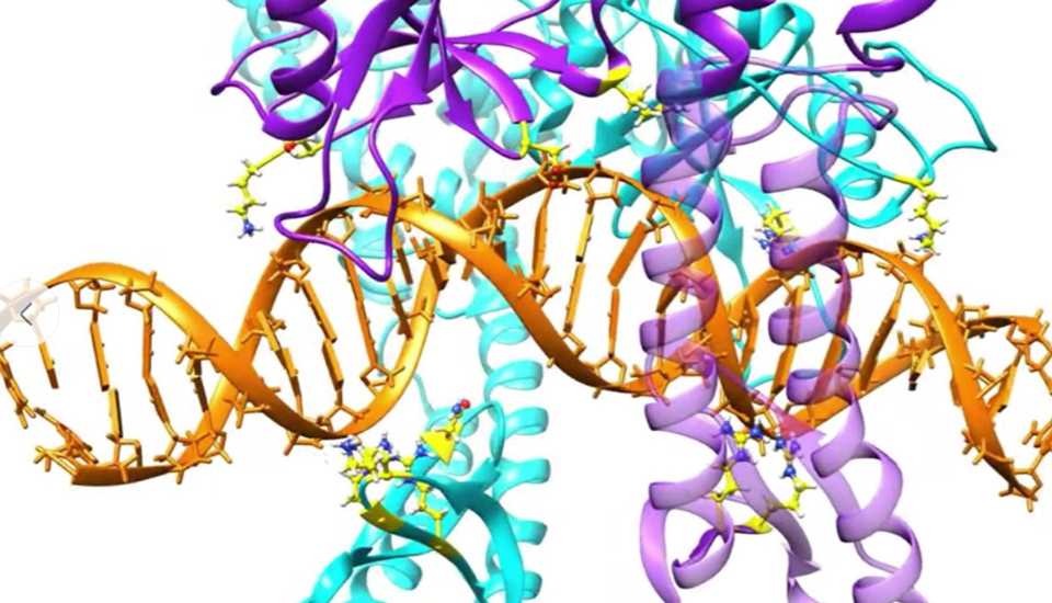 科学家为蛋白质装上“遥控开关” - 山西科技报新闻网